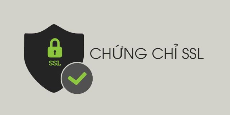 Chứng chỉ SSL là gì? 3 Mẹo lựa chọn SSL phù hợp cho website